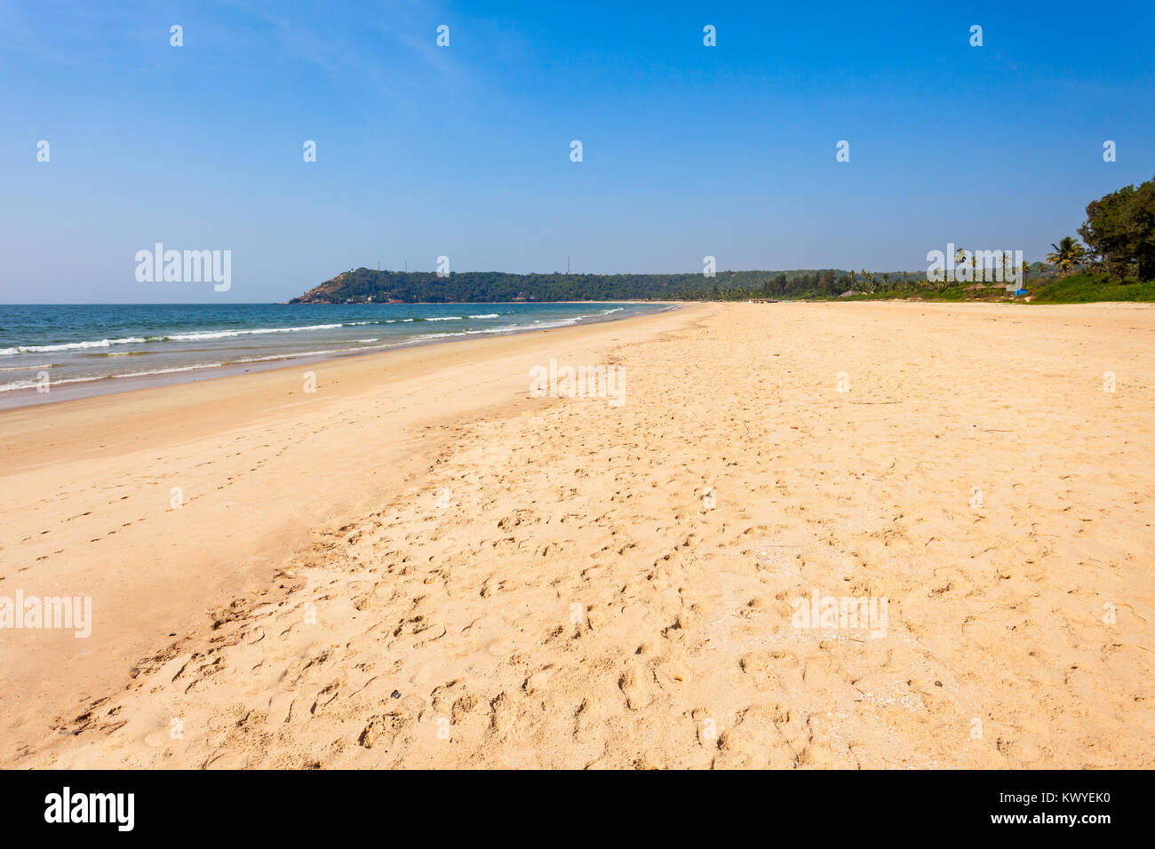 Beauty lonely beach with yellow sand in Goa, india Stock Photo - Alamy