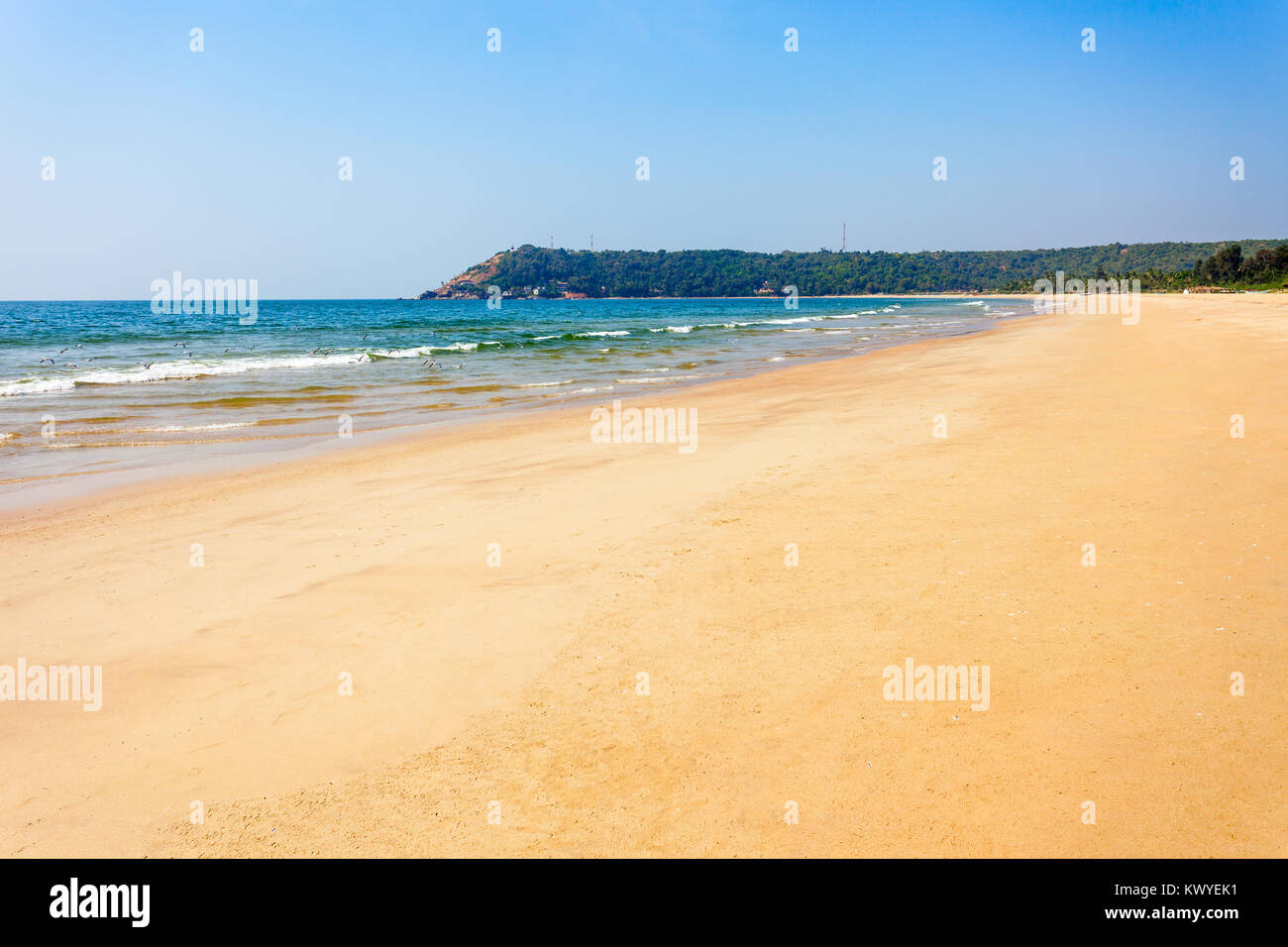 Beauty lonely beach with yellow sand in Goa, india Stock Photo - Alamy