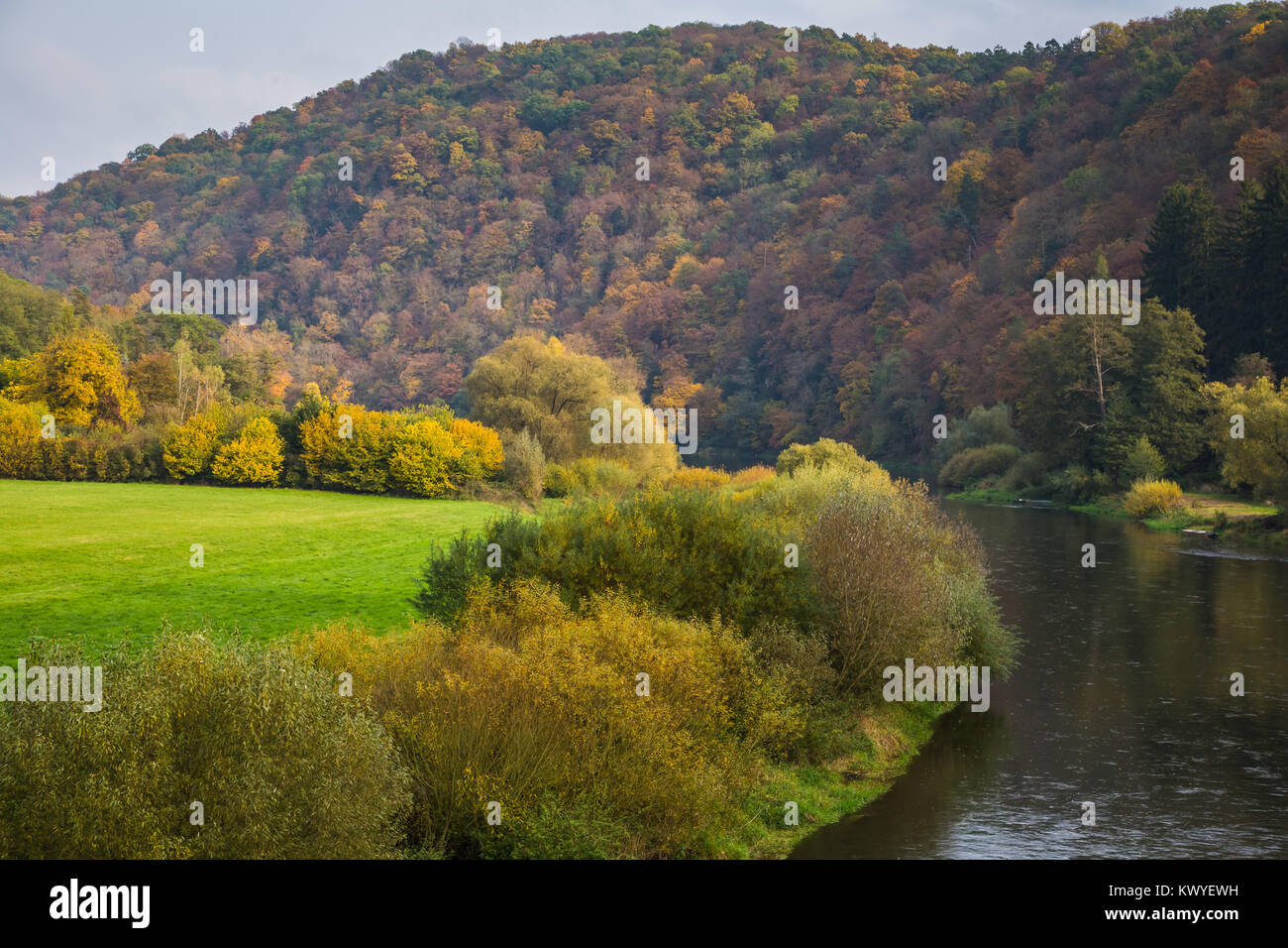 autumn valley with colorful forest and river running Stock Photo - Alamy