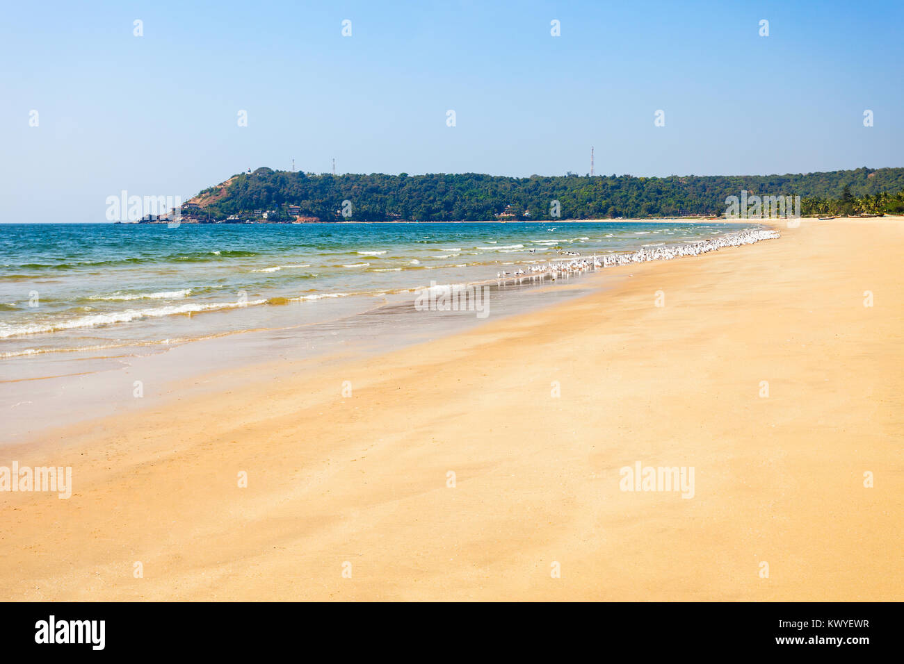 Yellow sand in goa hi-res stock photography and images - Alamy