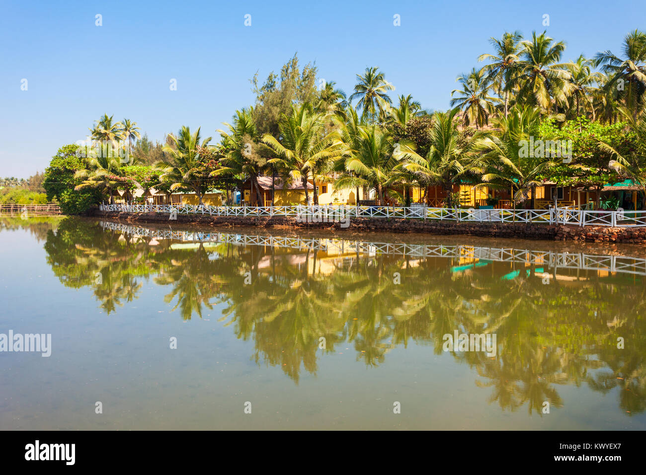 Small river and palms on Mandrem beach in north Goa, India Stock Photo ...
