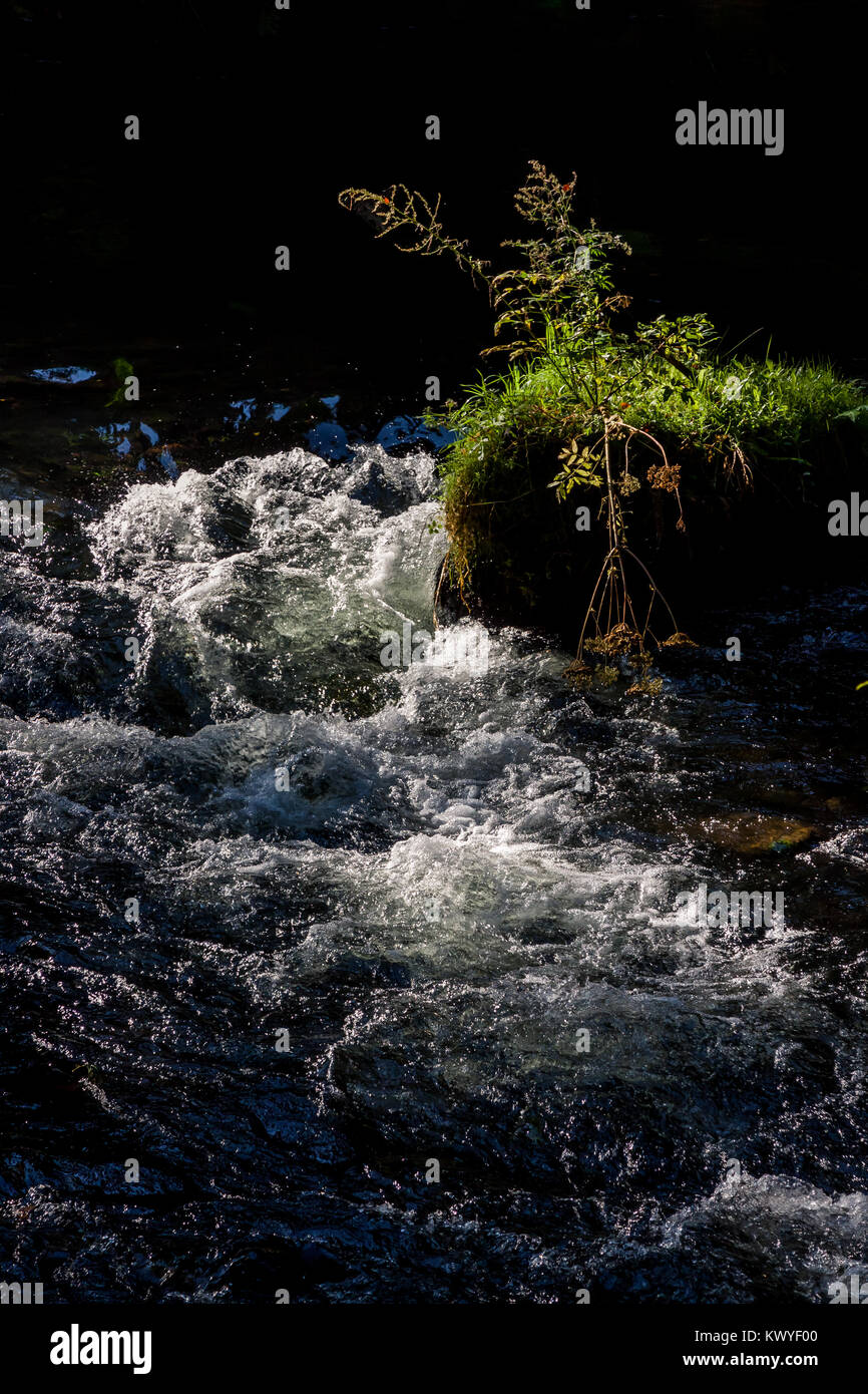 Big stone in river hi-res stock photography and images - Alamy