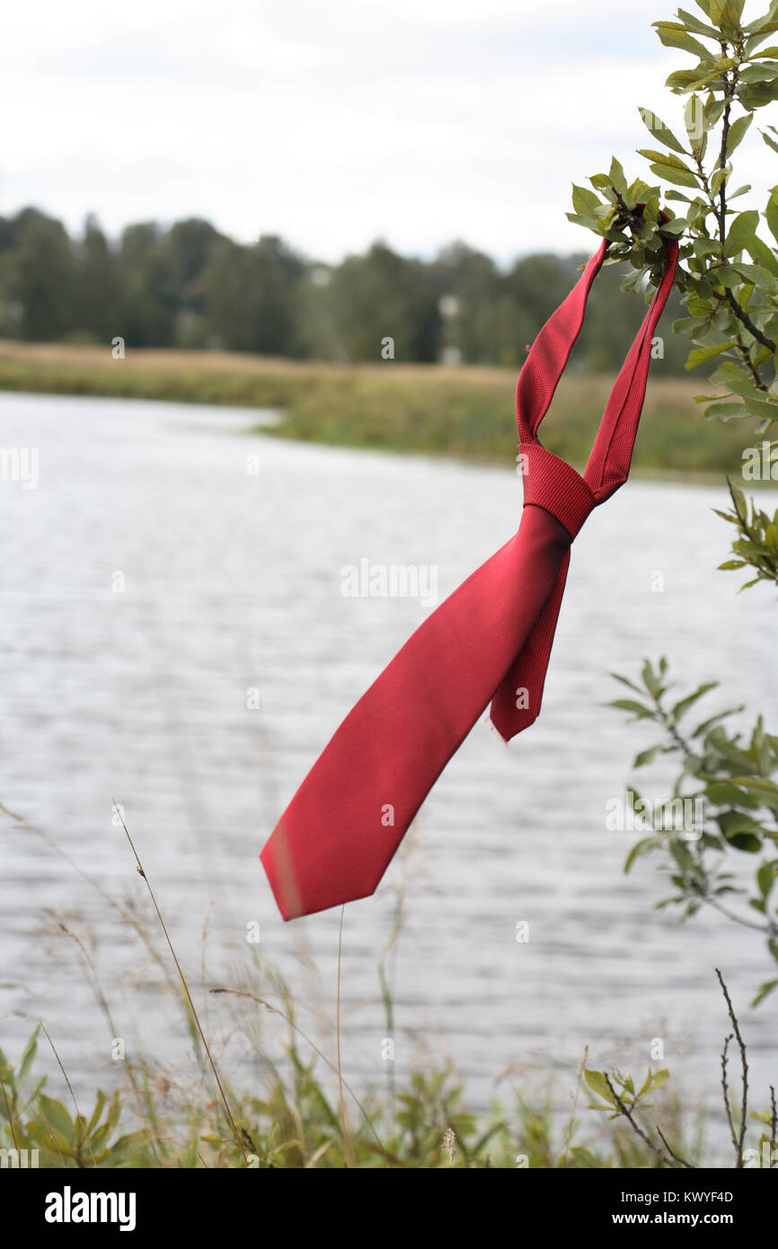 Red necktie hanging on tree with nature background Stock Photo - Alamy