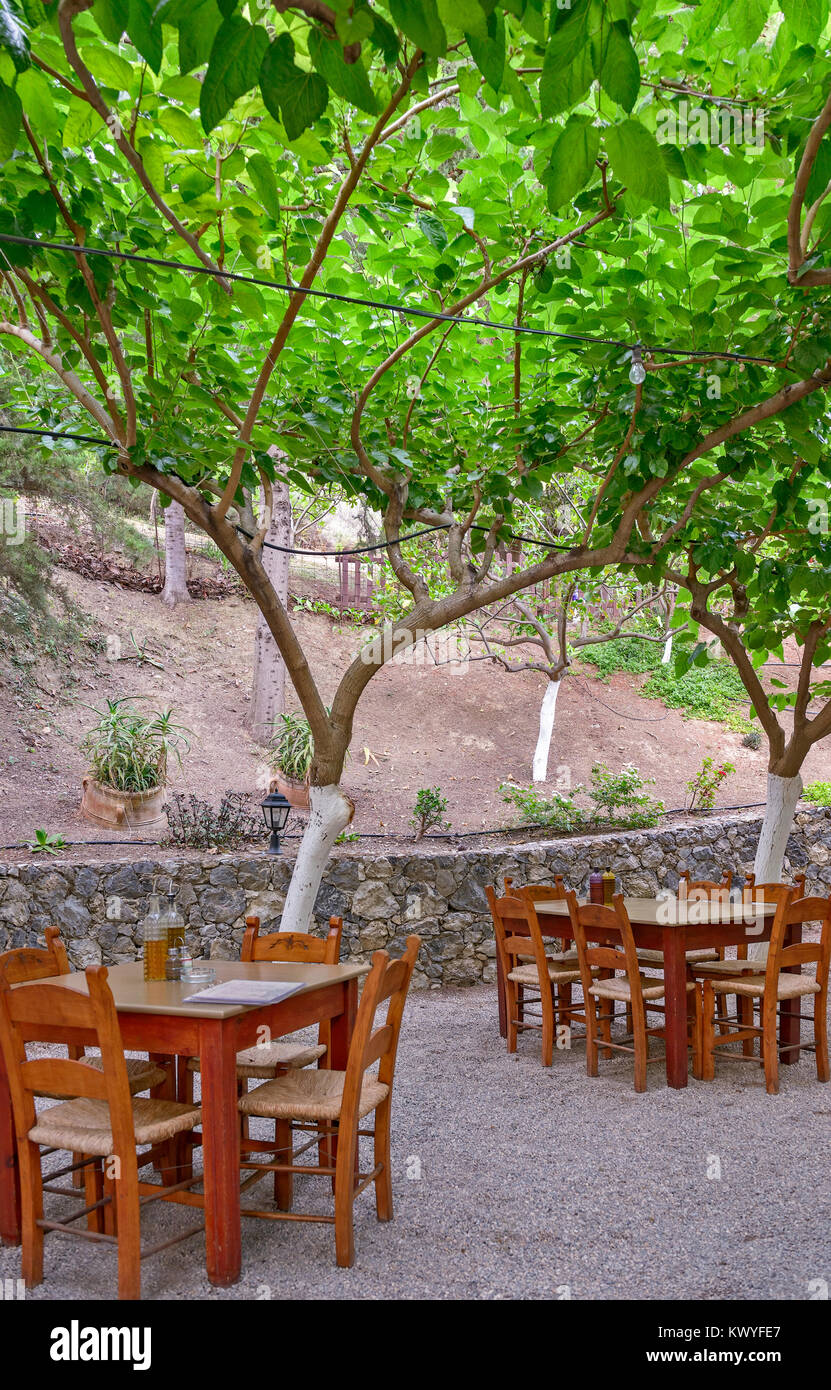 Tables and chairs of street cafe under trees Stock Photo - Alamy