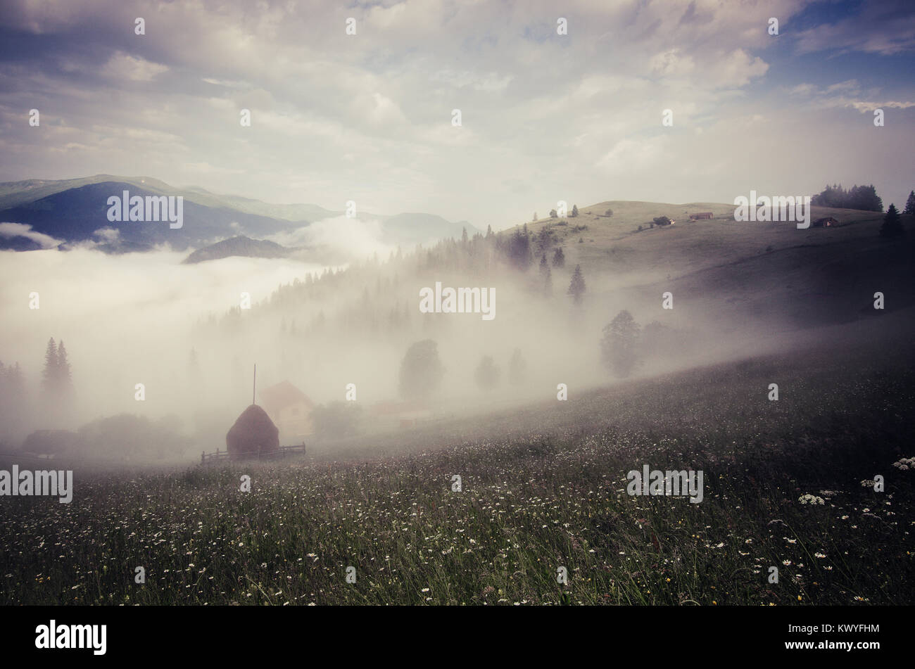 Foggy morning landscape Stock Photo - Alamy