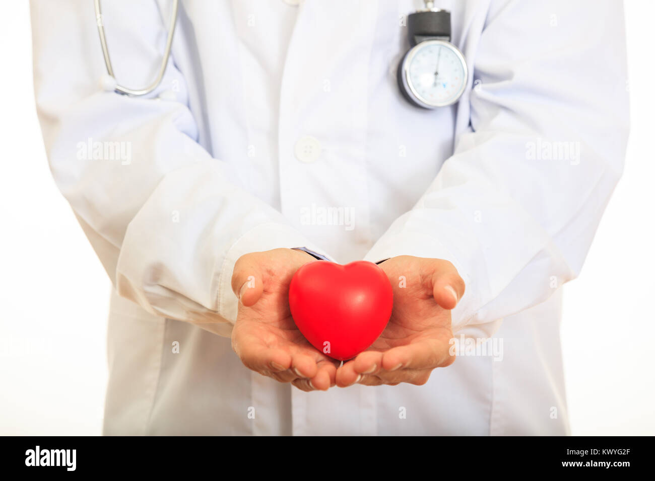 Doctor holding a heart standing on white background Stock Photo - Alamy