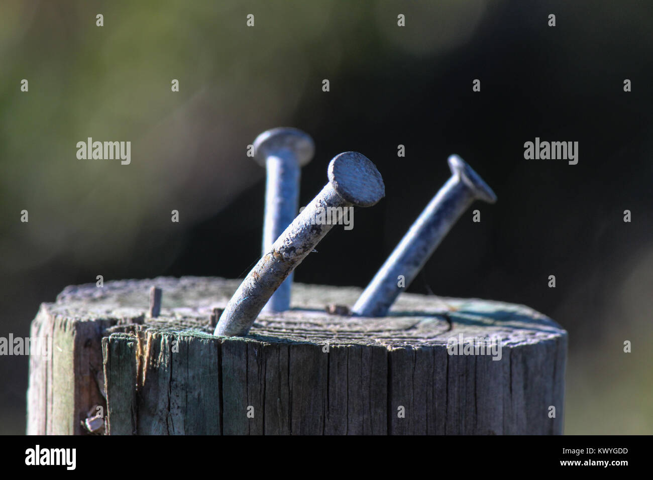 old nails on wooden post Stock Photo - Alamy