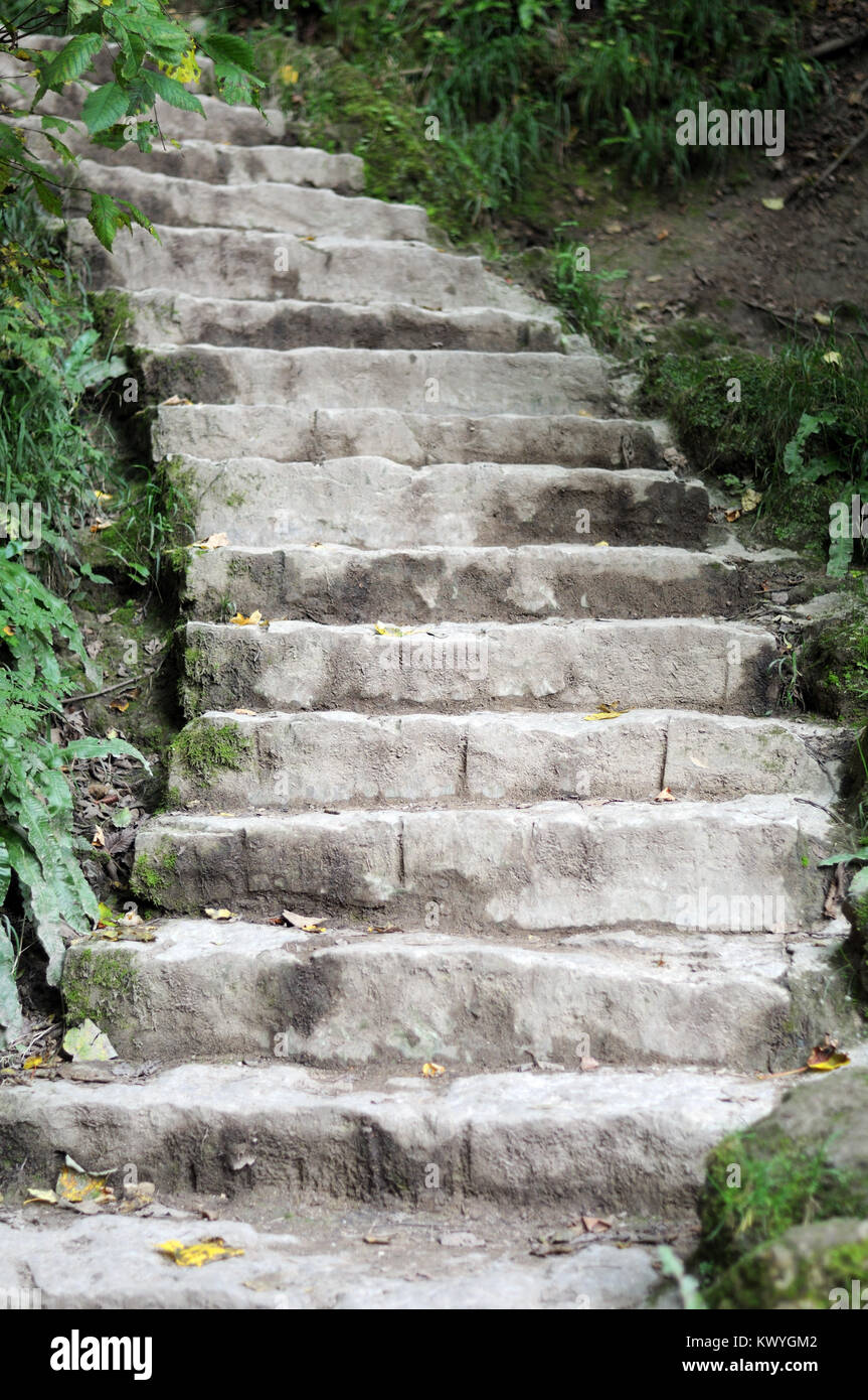 Curved Stairs Stock Photos & Curved Stairs Stock Images - Alamy