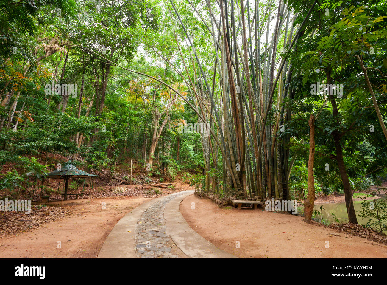 Udawatta Kele Kandy Royal Forest Park or Udawattakele Sanctuary is a ...