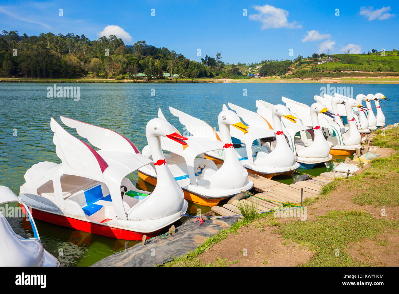 Swan tourist boat at the Gregory Lake in Nuwara Eliya. Lake Gregory is ...