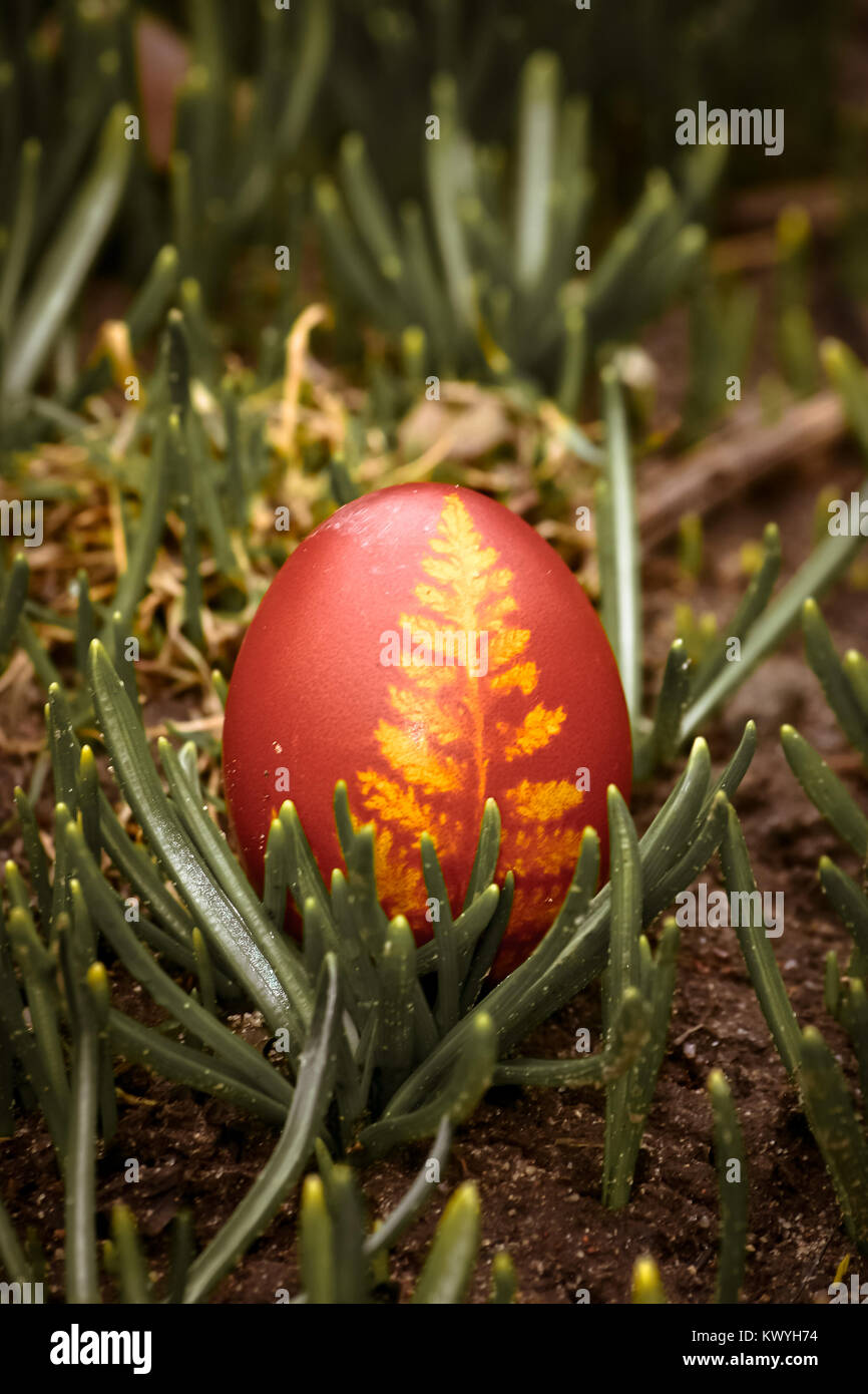 A beautiful, colored red Easter egg in the backyard. Traditional spring ...