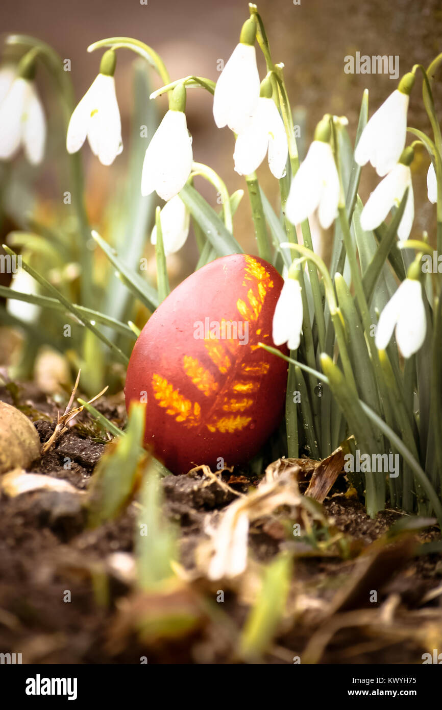 A beautiful, colored red Easter egg in the backyard. Traditional spring ...