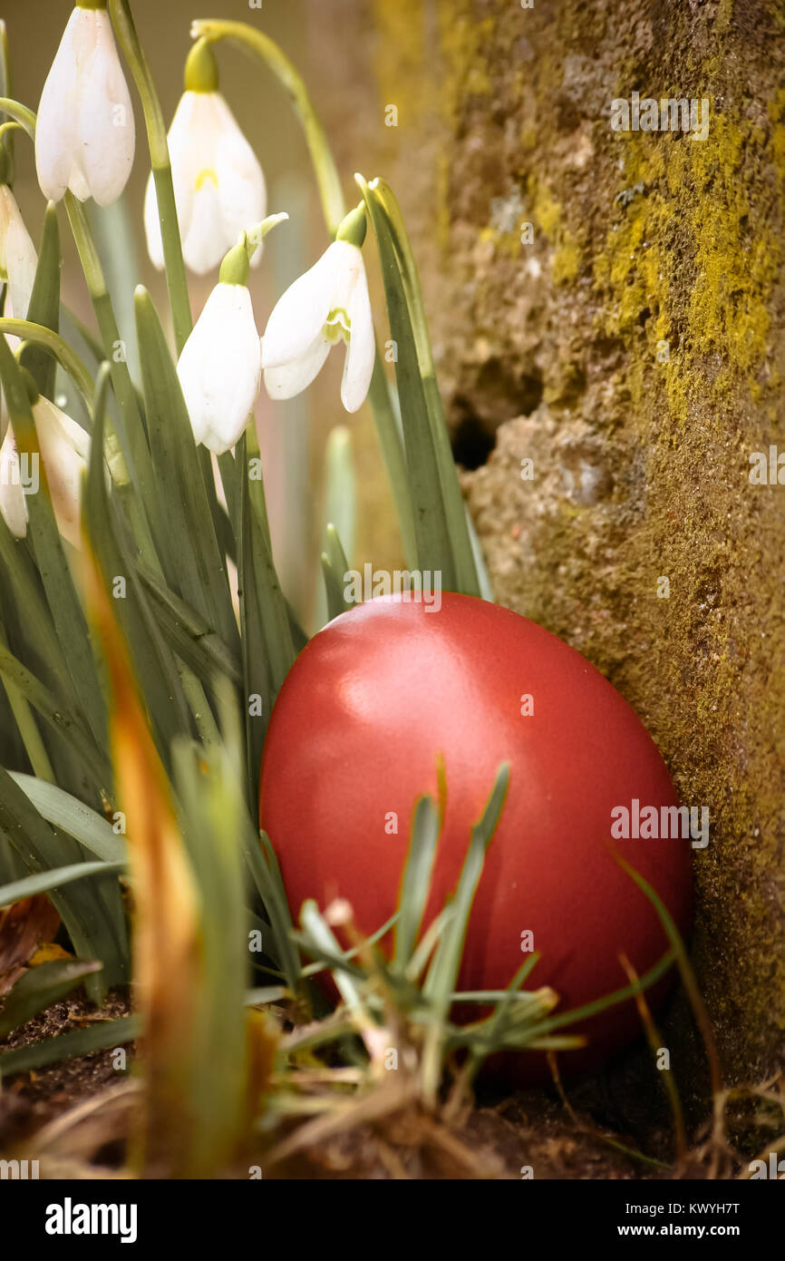 A beautiful, colored red Easter egg in the backyard. Traditional spring ...
