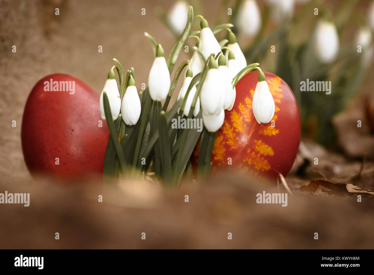 A beautiful, colored red Easter egg in the backyard. Traditional spring ...