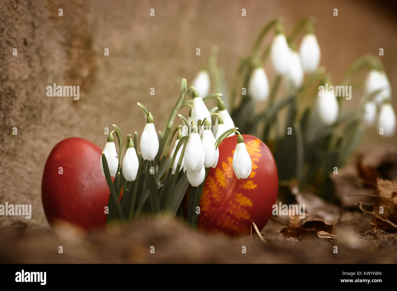 A beautiful, colored red Easter egg in the backyard. Traditional spring ...
