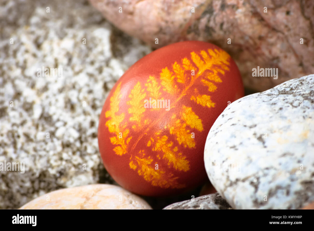 A beautiful, colored red Easter egg in the backyard. Traditional spring ...