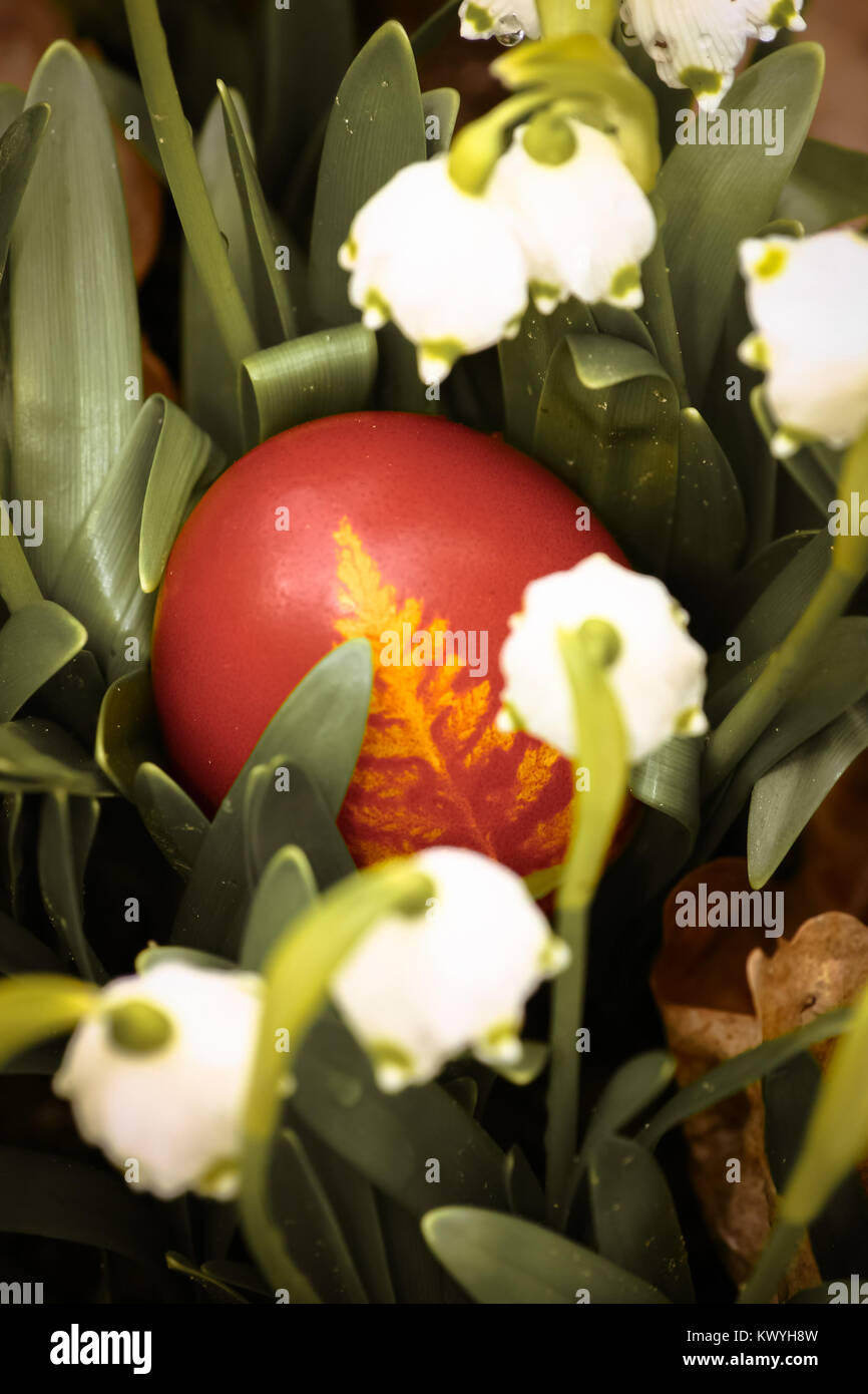 A beautiful, colored red Easter egg in the backyard. Traditional spring ...