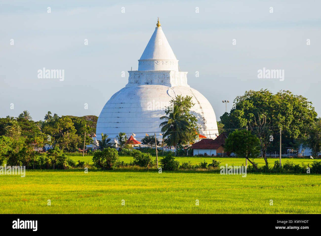 Tissamaharama Raja Maha Vihara is a Buddhist stupa and temple in ...