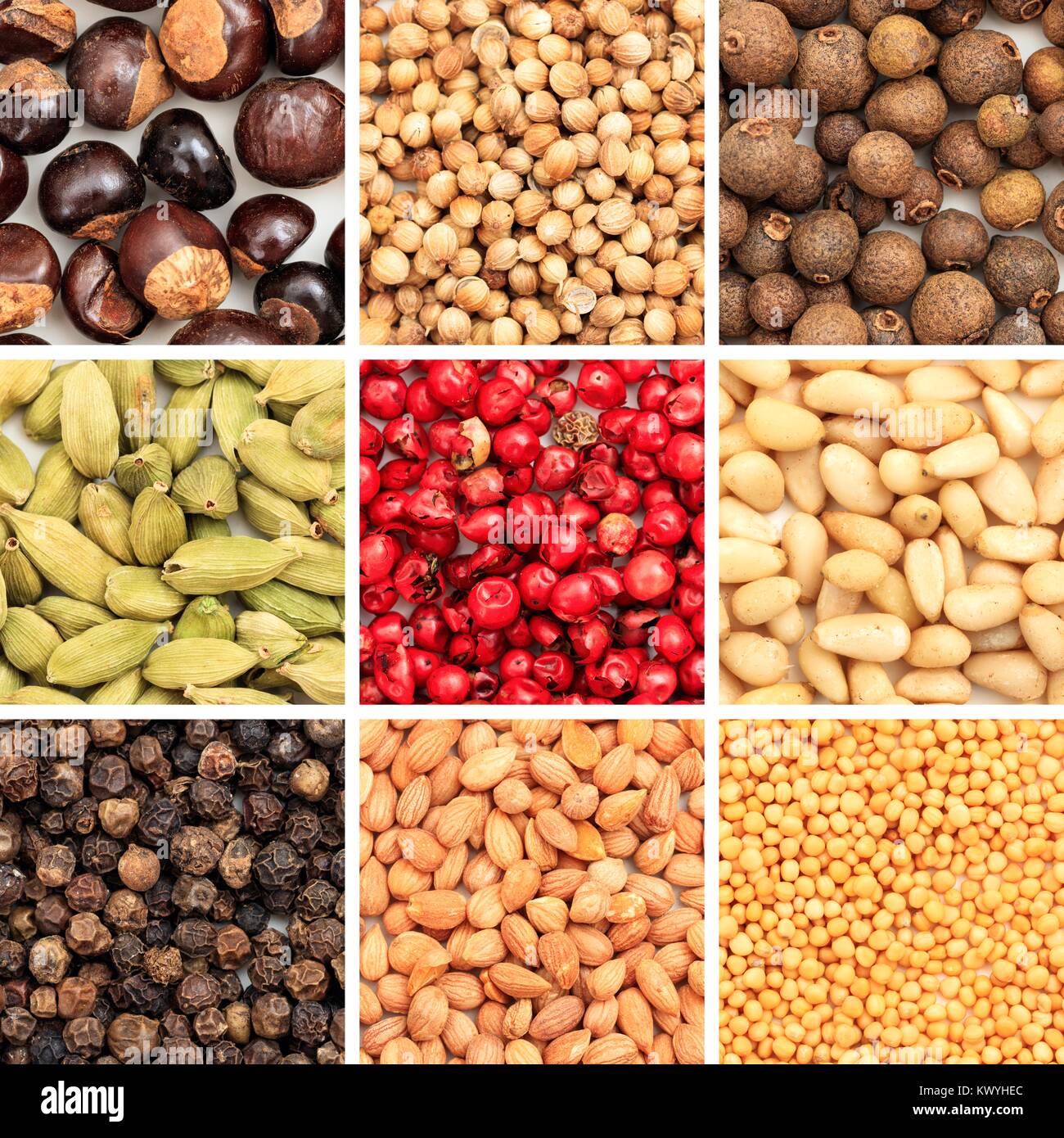 Various colorful spice seeds collage Stock Photo - Alamy