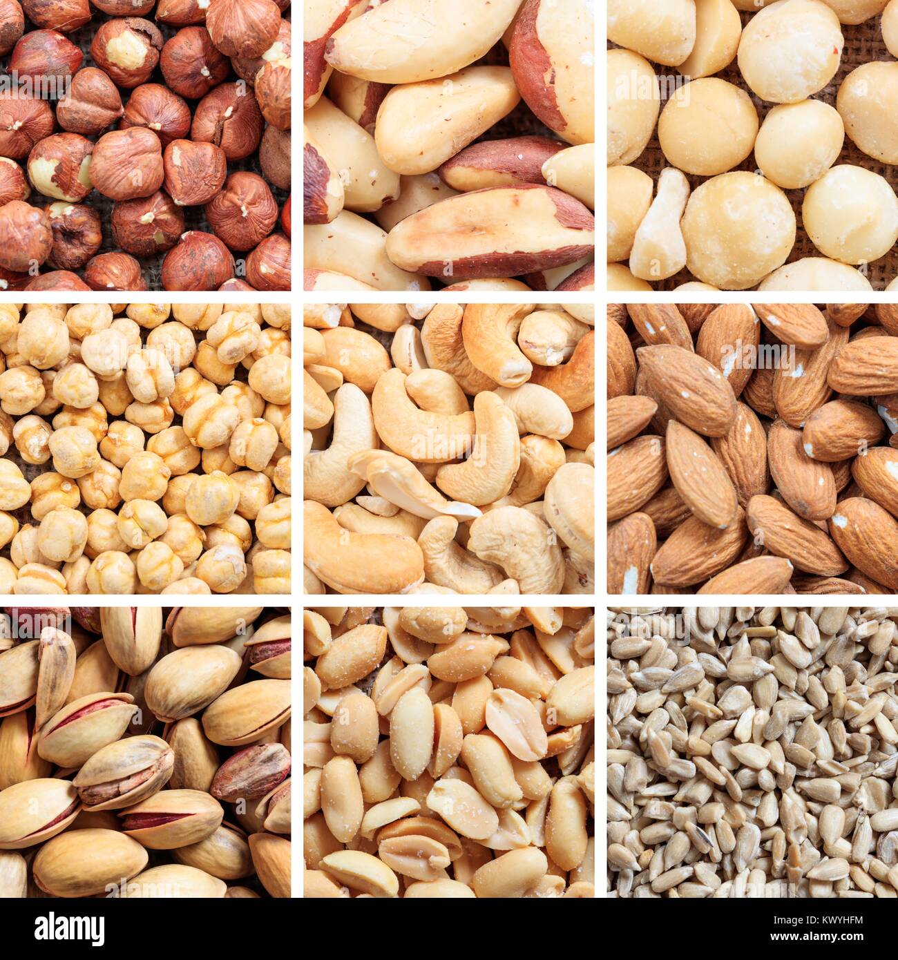 Variety of dried nuts collage Stock Photo - Alamy