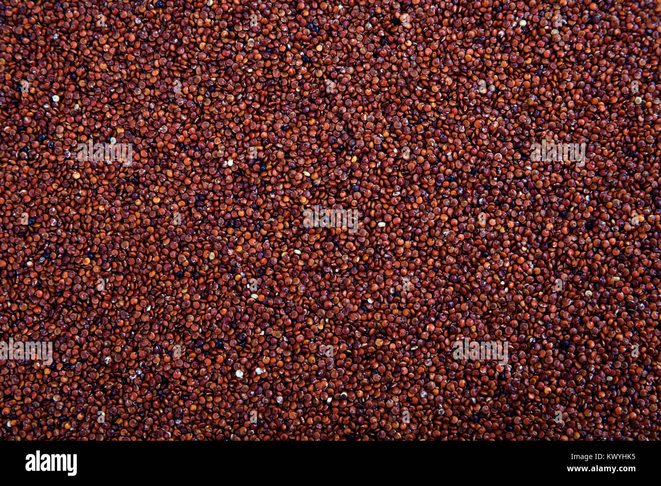 Uncooked red quinoa seeds hi-res stock photography and images - Alamy