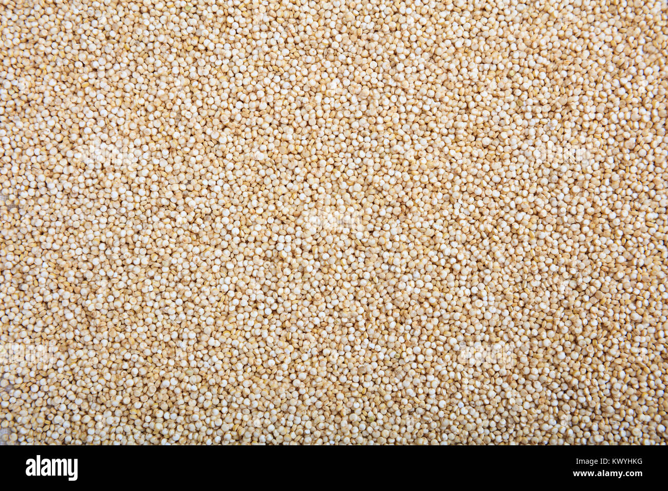 Raw white quinoa full background Stock Photo - Alamy