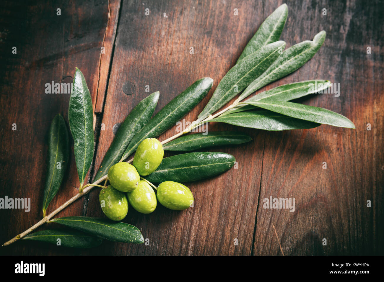 Twig olive tree branch hi-res stock photography and images - Alamy