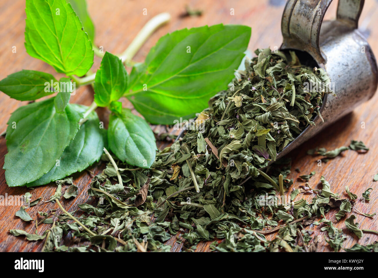 Dried peppermint leaf hi-res stock photography and images - Alamy