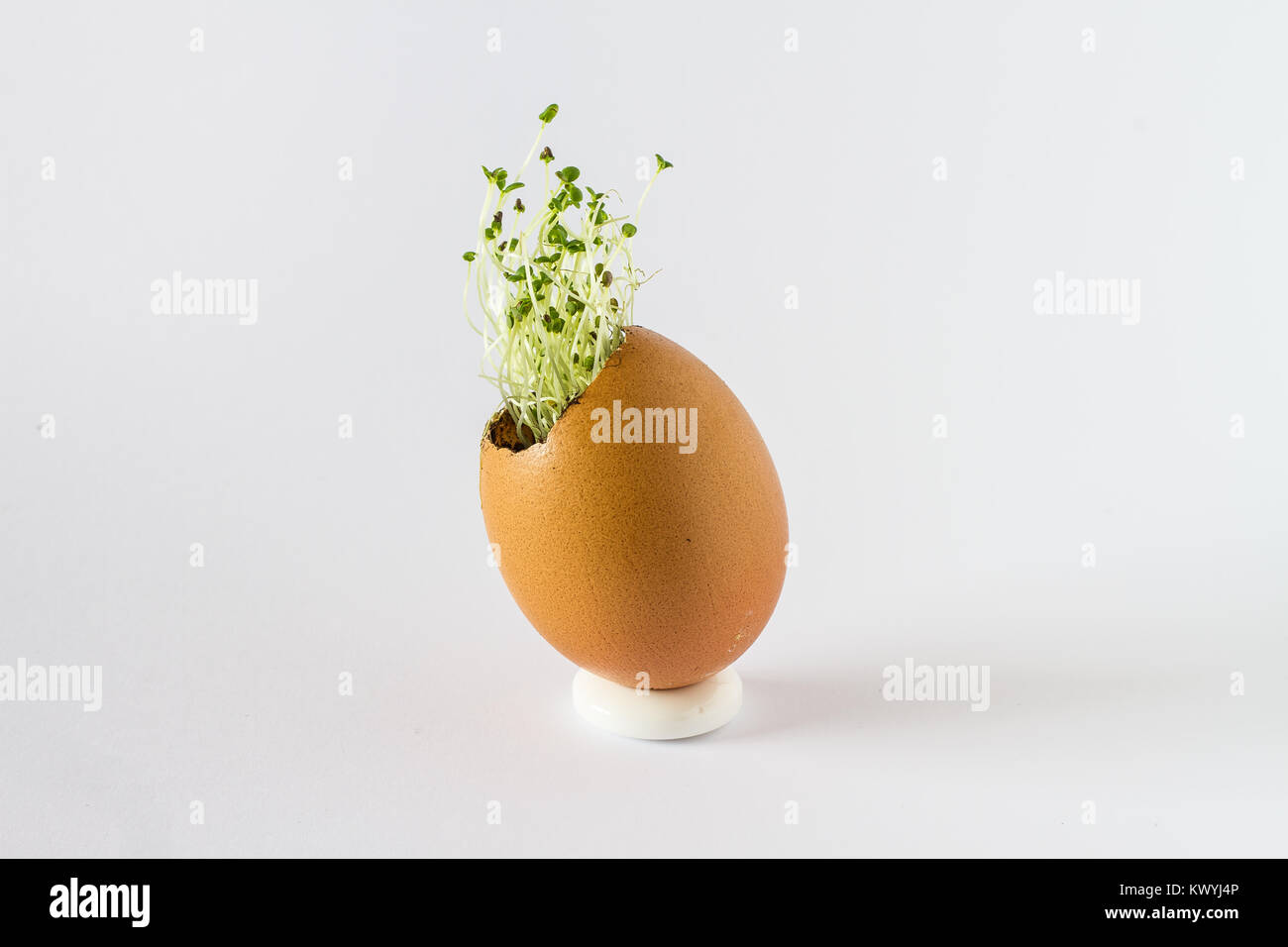 Seasoncelebration hi-res stock photography and images - Alamy