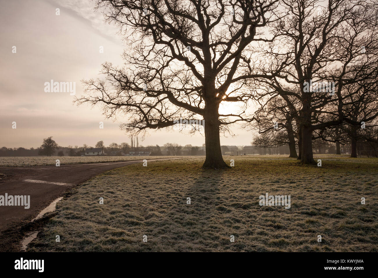Hatfield forest, essex hi-res stock photography and images - Alamy