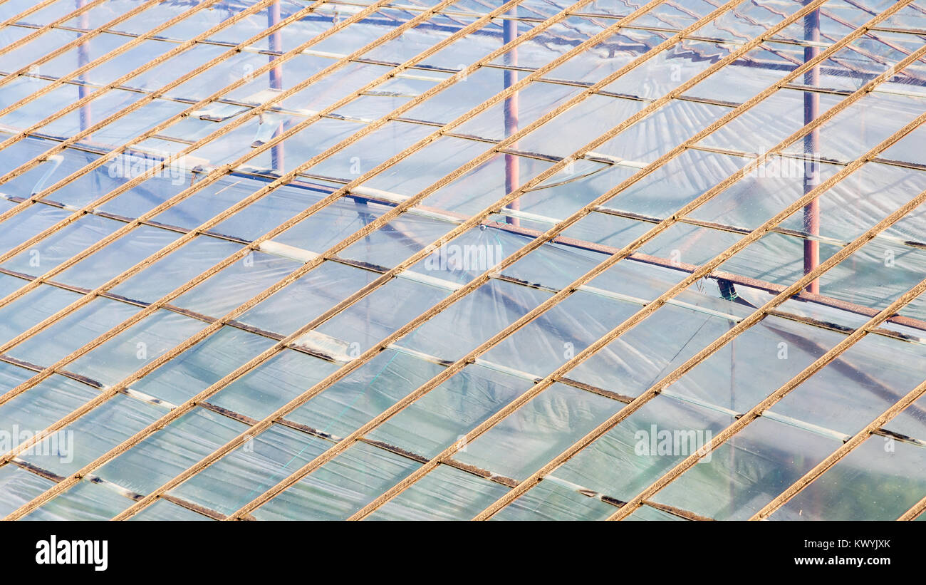 Greenhouse. A close up of an industrial greenhouse on a farm in Turkler ...