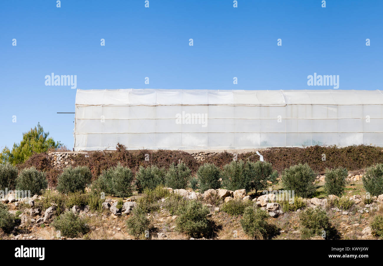 Turkey Country Farming High Resolution Stock Photography and Images - Alamy