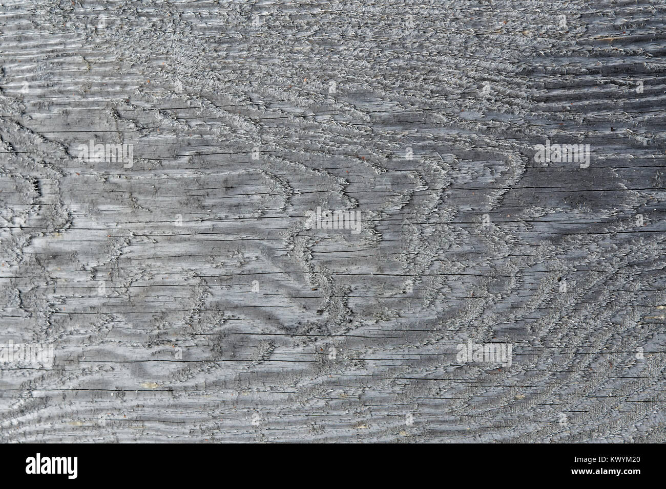 Grey wooden board background texture Stock Photo - Alamy