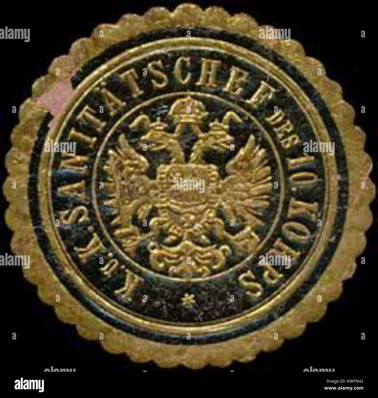 This title refers to a historical seal used by the sanitary chief of ...