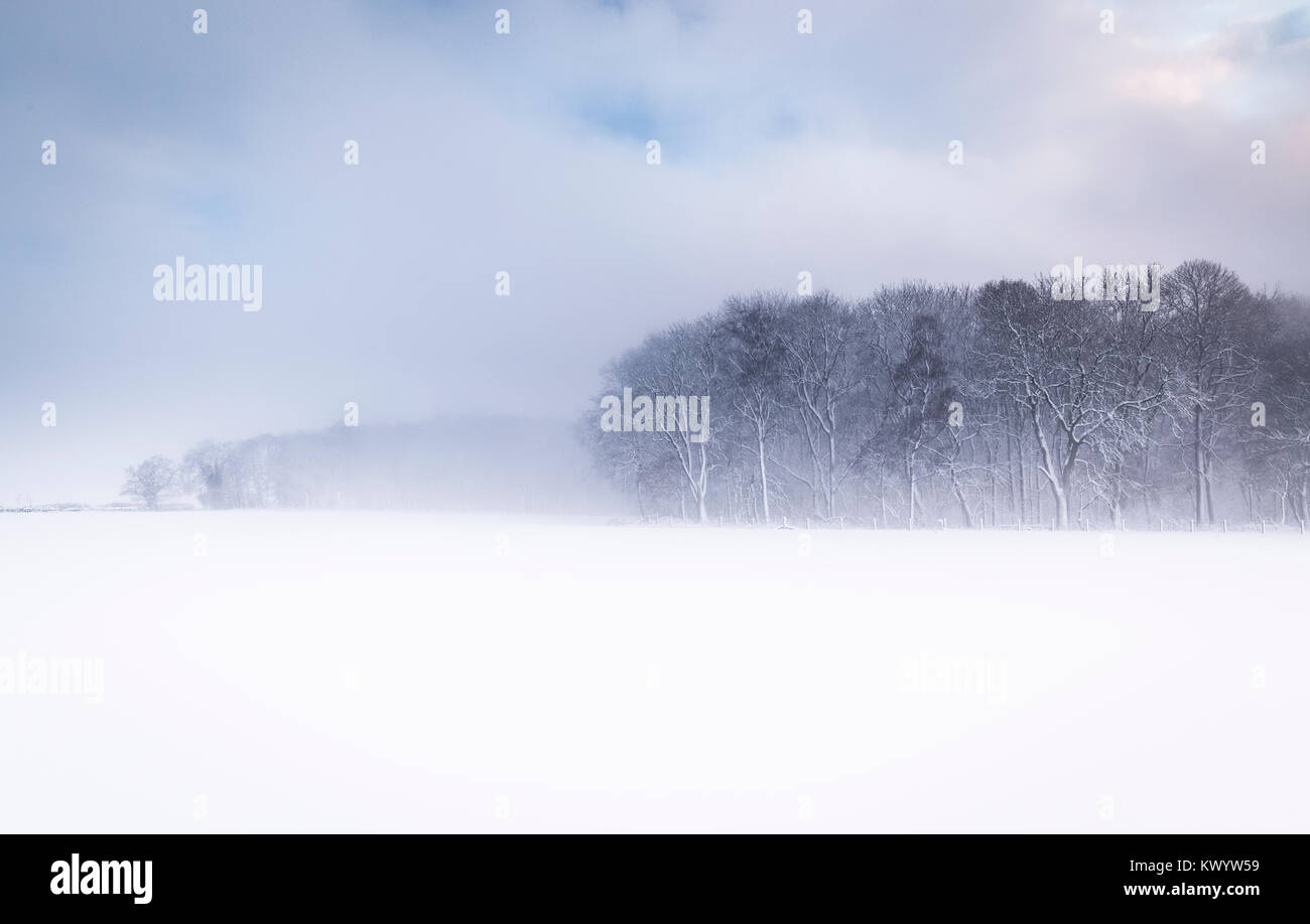 Snow storm blizzard over British countryside Stock Photo - Alamy
