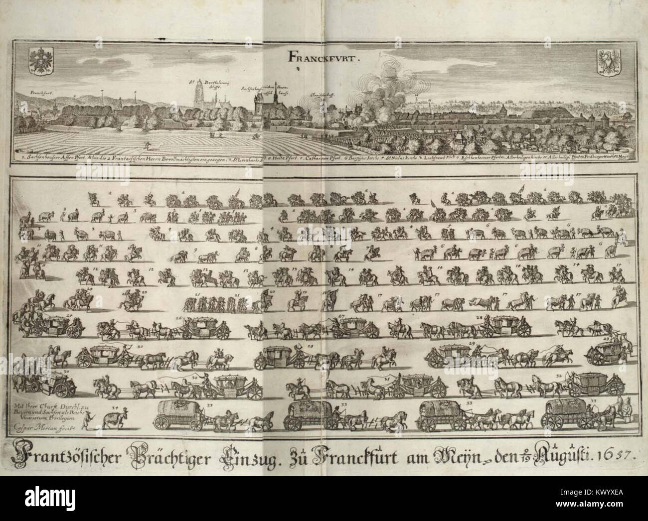 Merian's engravings in his famous work capture detailed and accurate ...