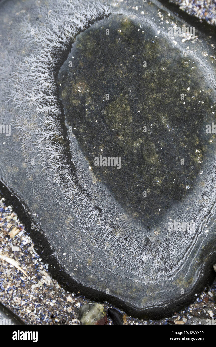 Rings of salt precipitating onto beach stones as sea water freezes and ...