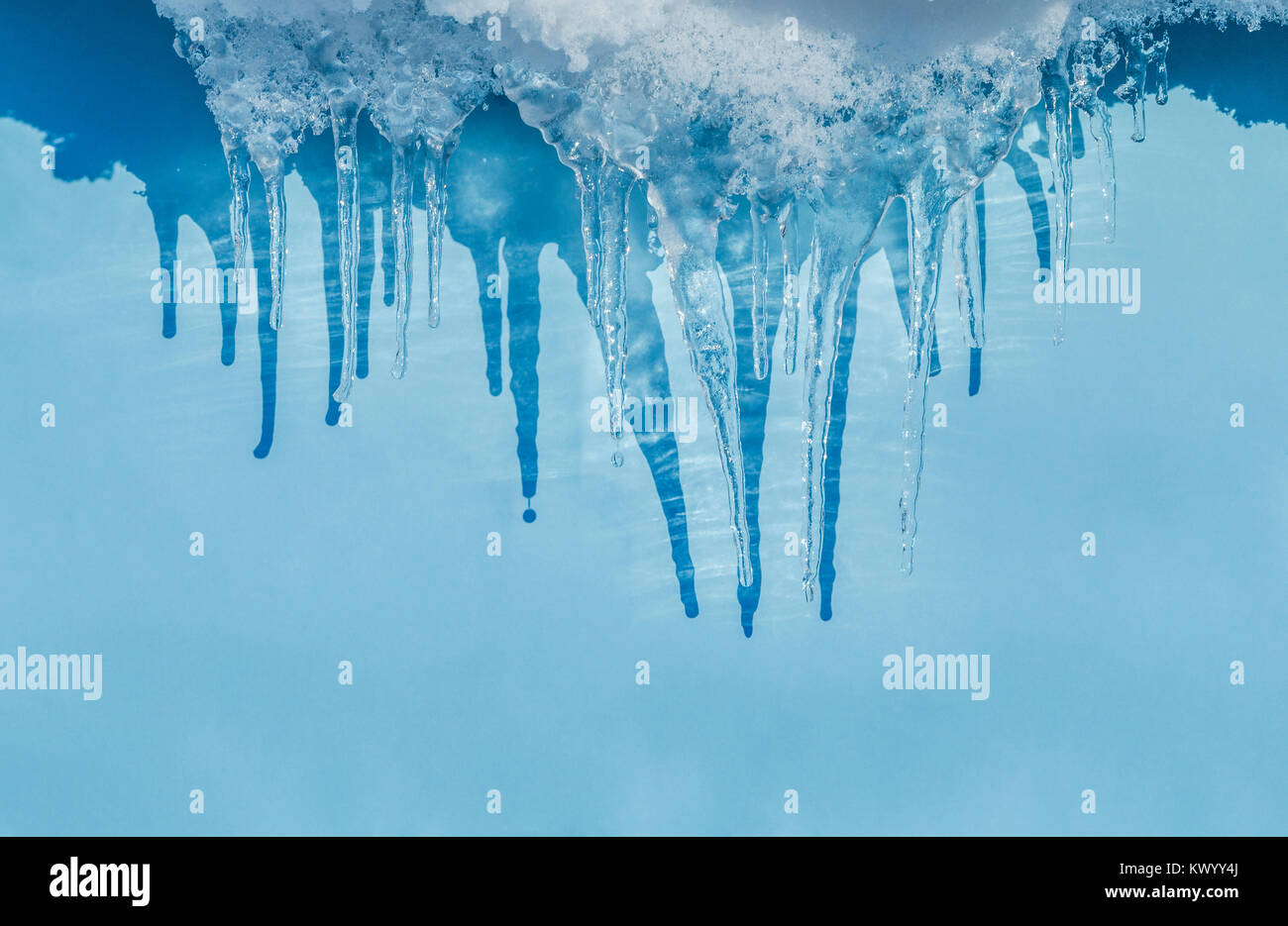 Winter icicles formed of melting snow against vibrant blue background ...