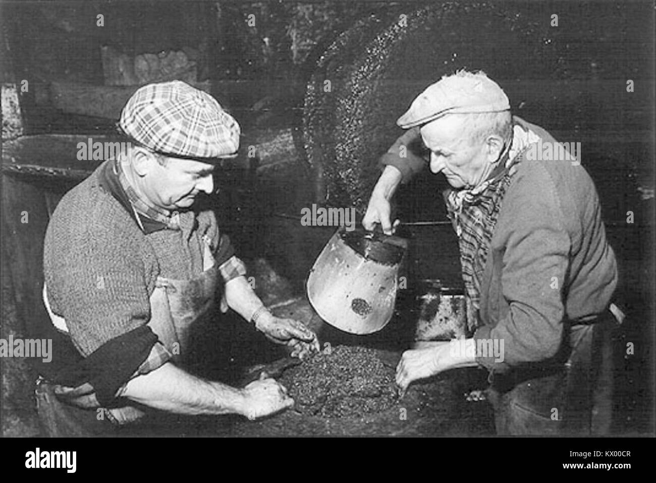 In Sigonce, France, an olive oil production process is depicted, where ...