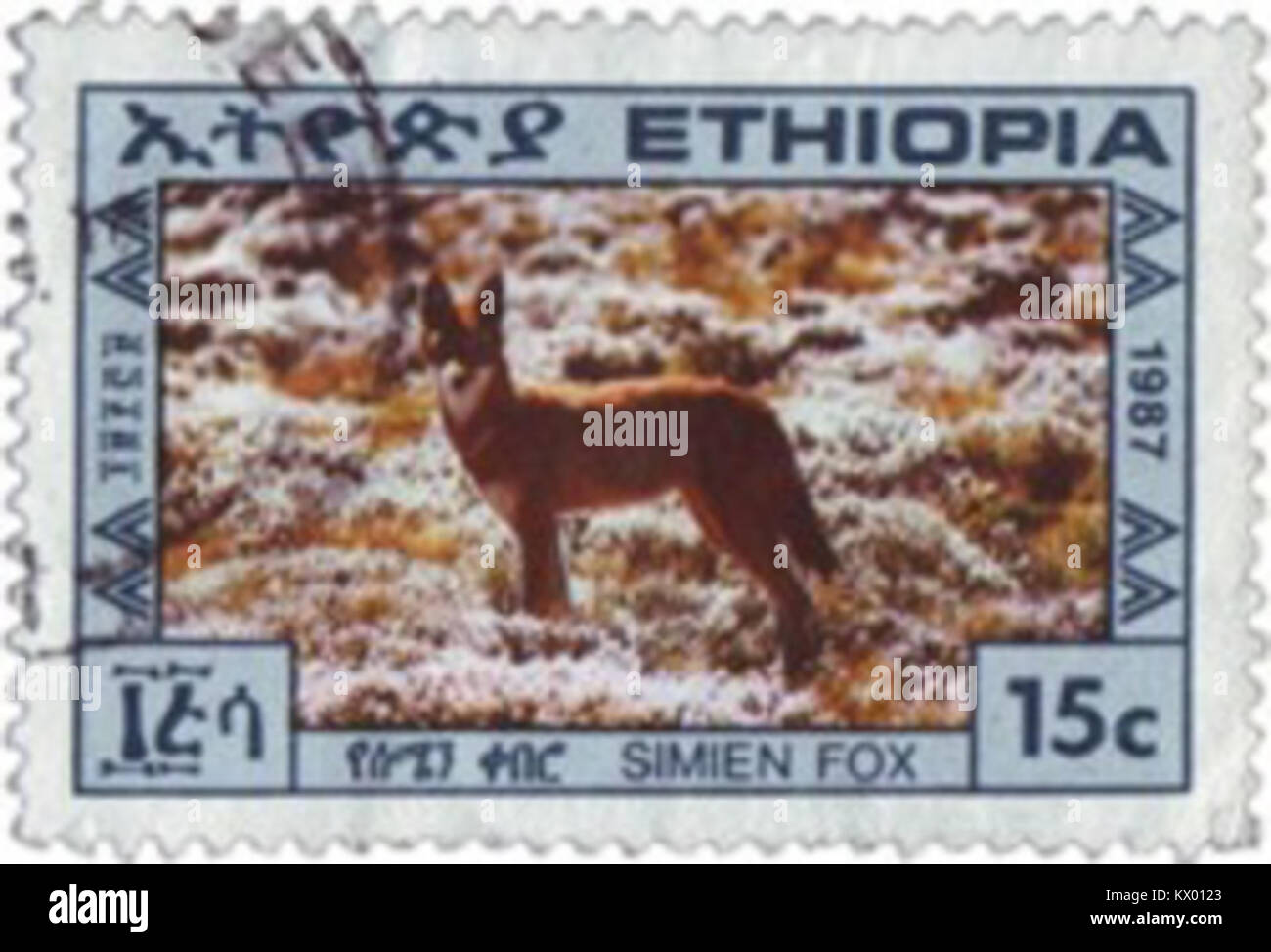 Simien fox hi-res stock photography and images - Alamy