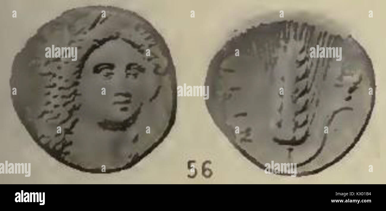 The ancient city of Metapontion, dating back to 350-300 B.C., was an ...