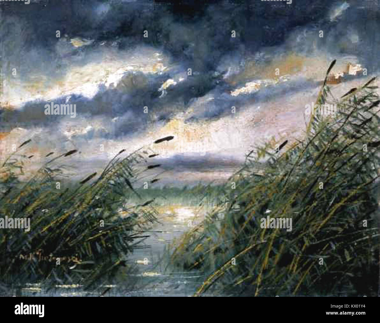 Trzciny hi-res stock photography and images - Alamy