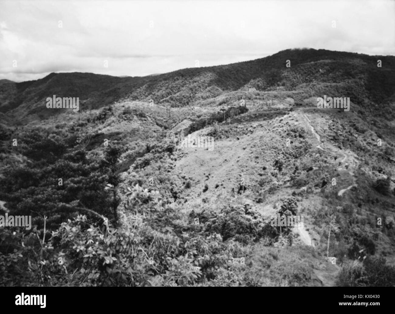 A 1944 photograph from Mission Hill and Efogi in Papua New Guinea ...