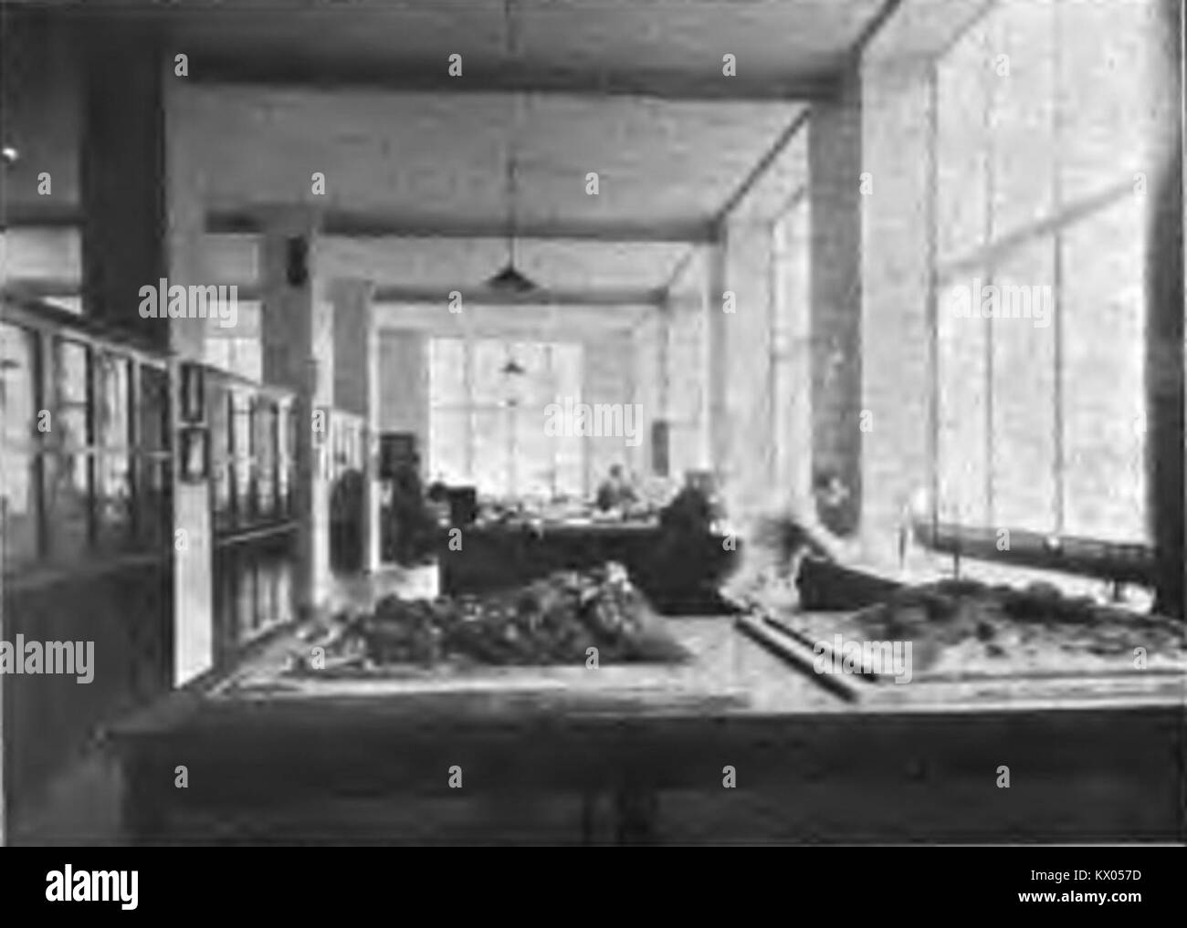 The Laboratory of Tropical Medicine, established in 1903 at Johnston ...