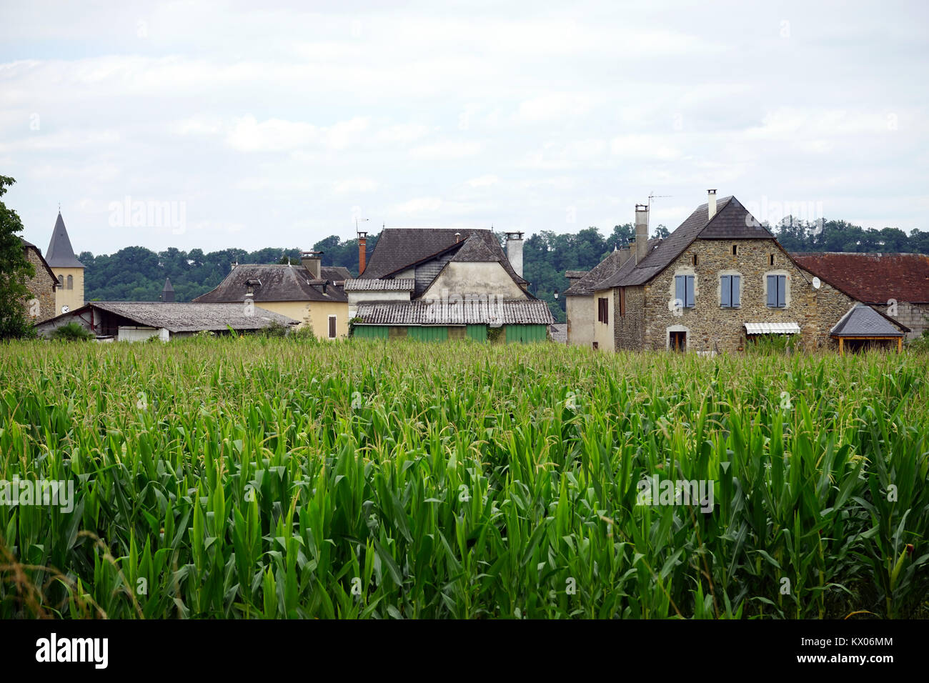 Corn field and village in France Stock Photo - Alamy