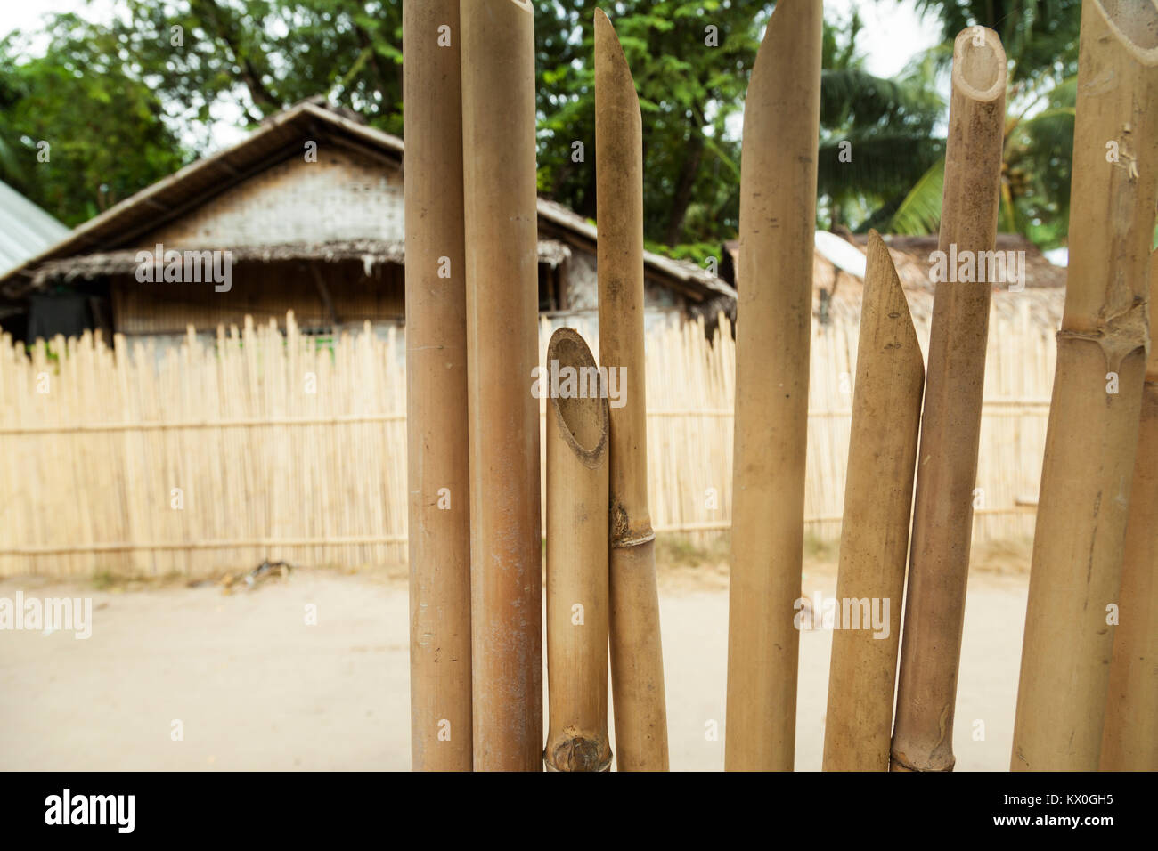 Traditional bamboo fence in rural Palawan, Philippines Stock Photo - Alamy