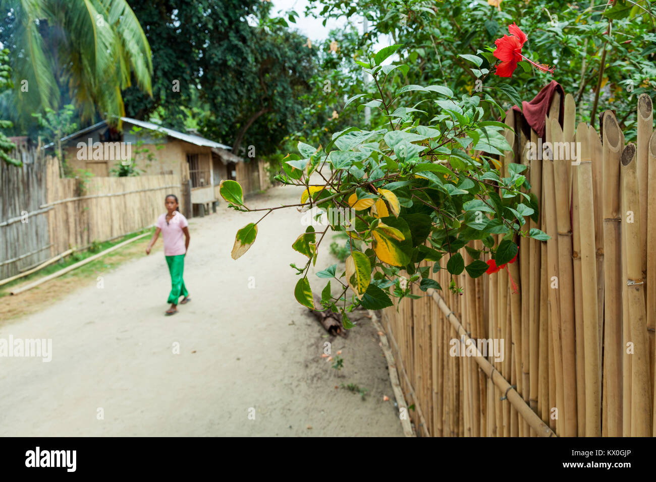 Village street in rural Palawan, Philippines Stock Photo - Alamy