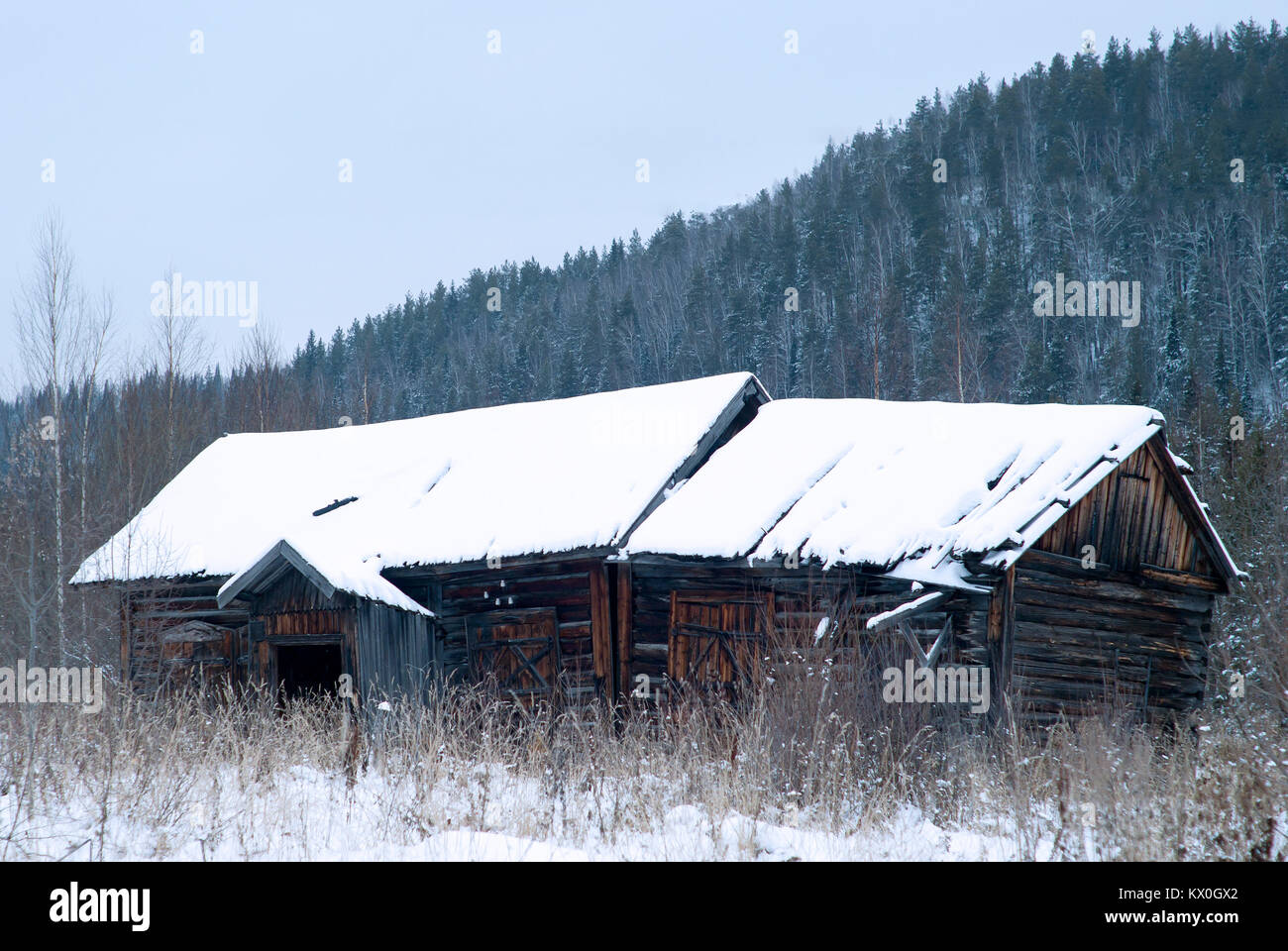 ruins of an abandoned wooden log cabin in the winter landscape Stock ...