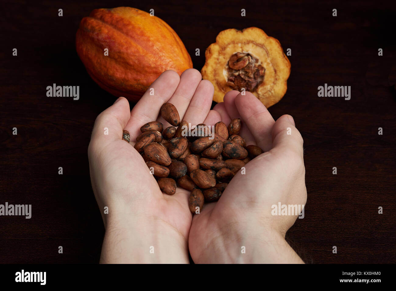 Cocoa beans hands woman hi-res stock photography and images - Alamy