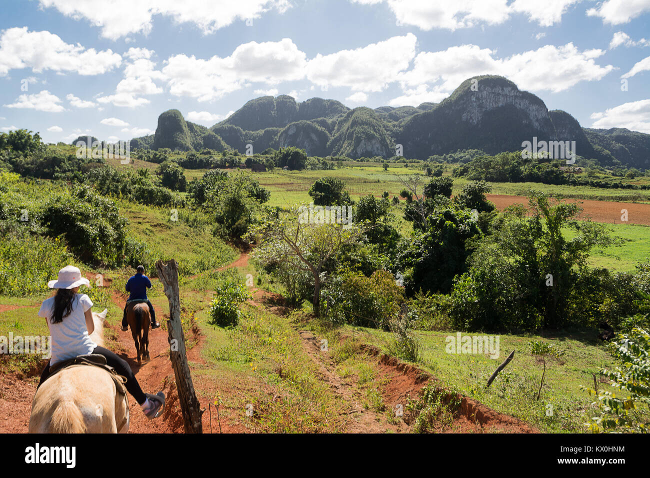 Tropical valley hi-res stock photography and images - Alamy